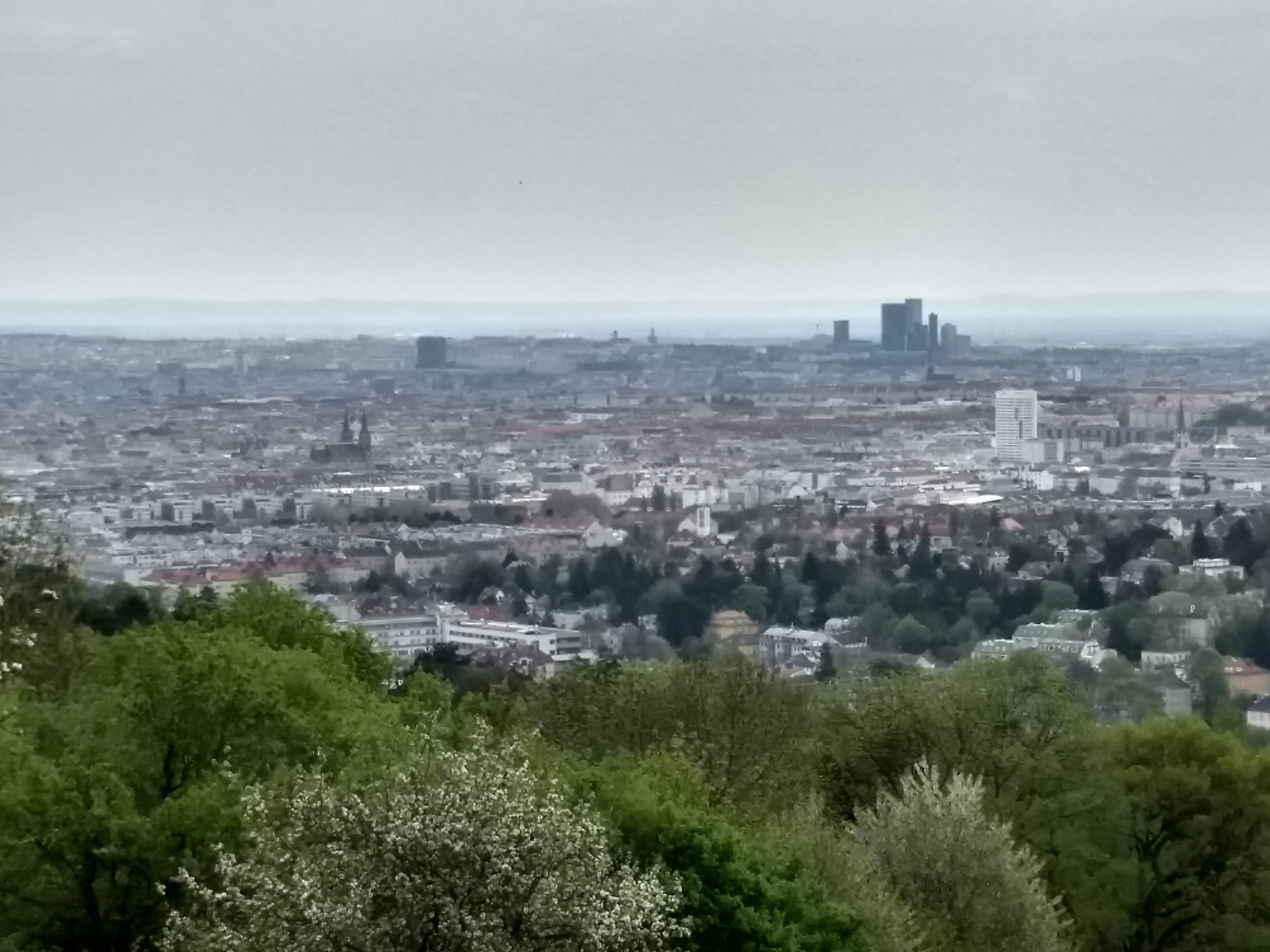 Results – City-Zen Boden